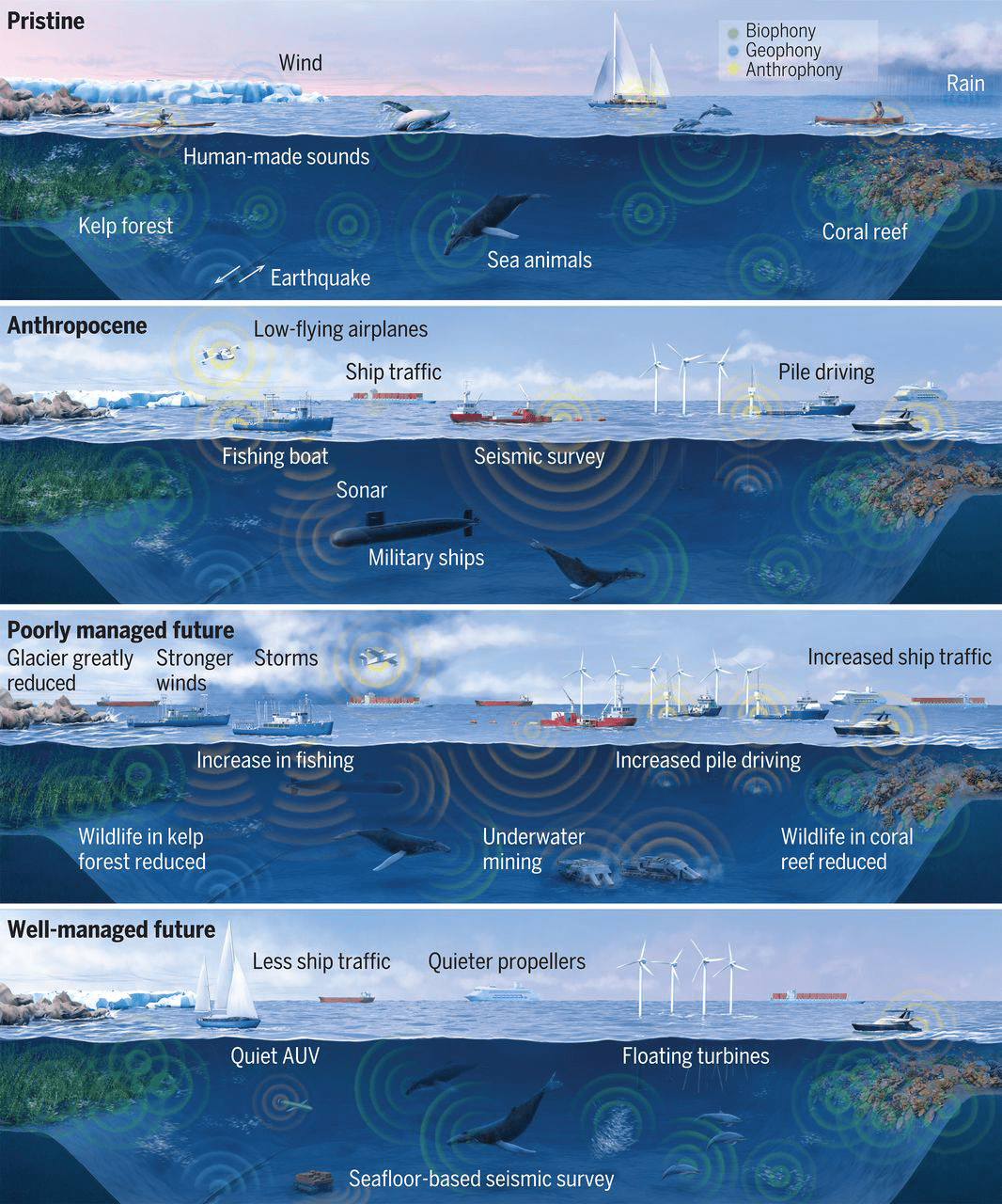 Healthy Oceans Need Healthy Soundscapes - HIFMB Oldenburg